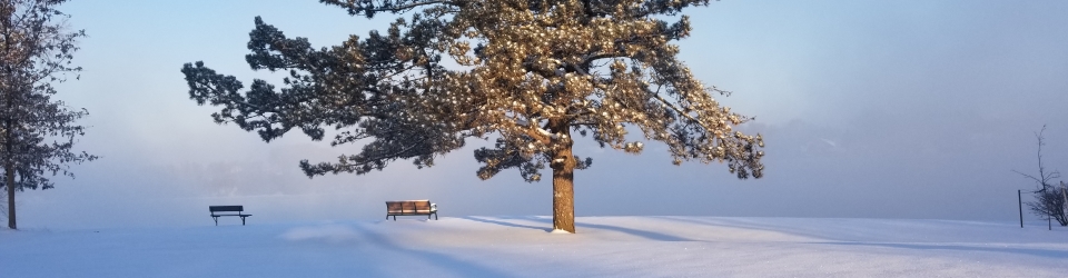 Snow Treasures - The Pastor’s Page
