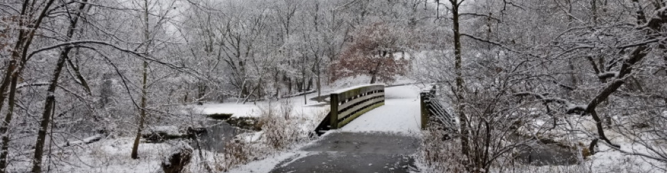 The Path Ahead… - The Pastor’s Page